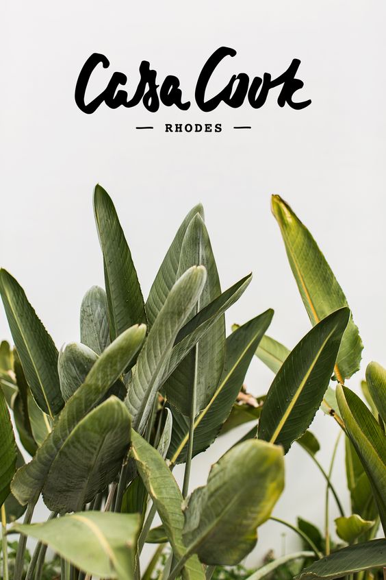 Anatomy of Casa Cook – Anatomie des Mots